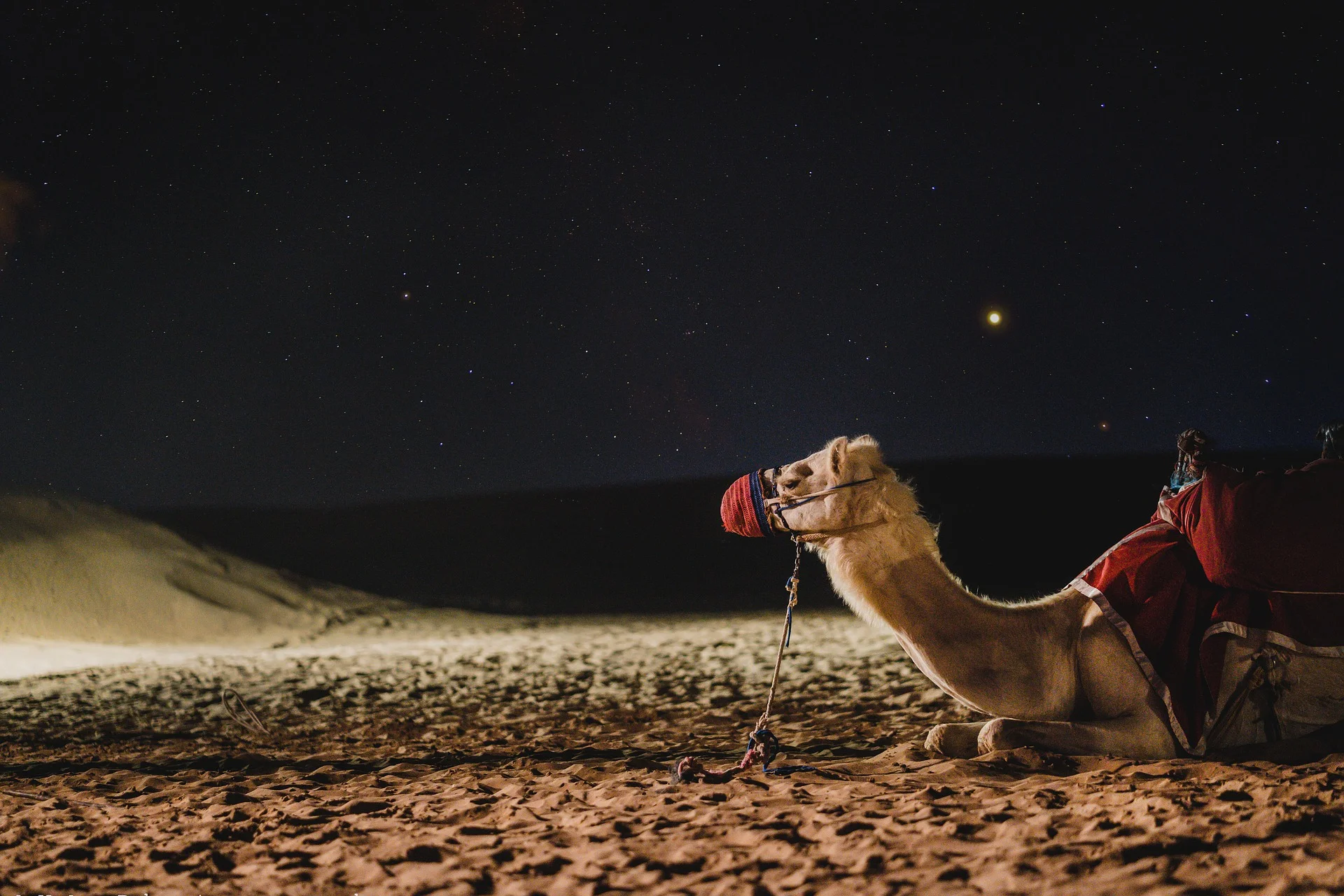 Morocco Tours from Toronto — Private Morocco Vacations for Canadian ...